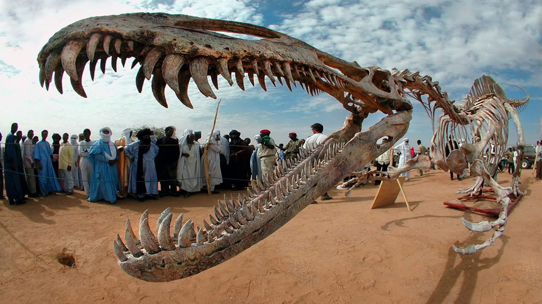 Real Dinosaur Fossils Now Available On The Market Great Lakes Ledger