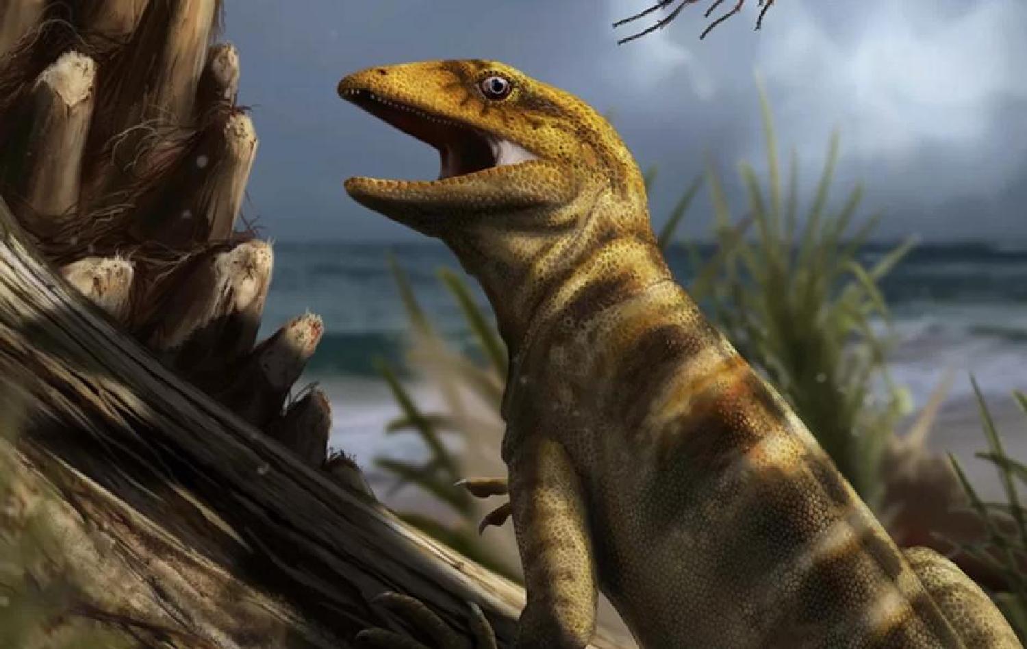 250 Million-Year-Old Lizard Fossil is “The Missing Link” In the ...